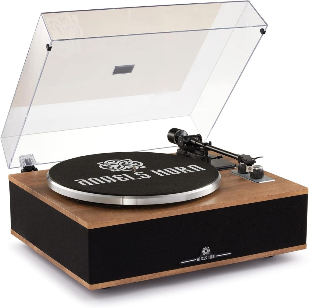 ANGELS HORN Vinyl Record Player, Bluetooth Turntable with Built in ...